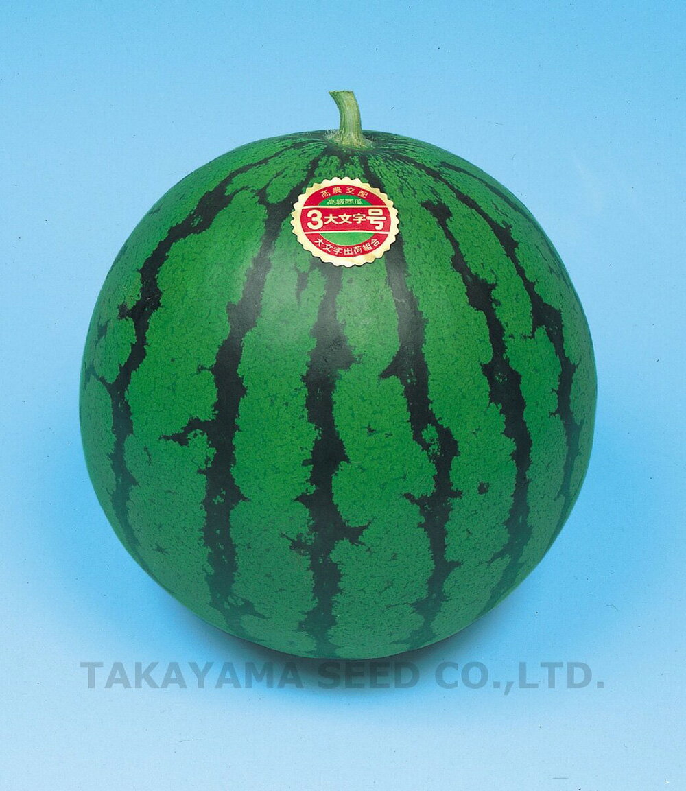 耐病性強く、初期からの草勢が強い。12月以降播種の半促成からの栽培に最適