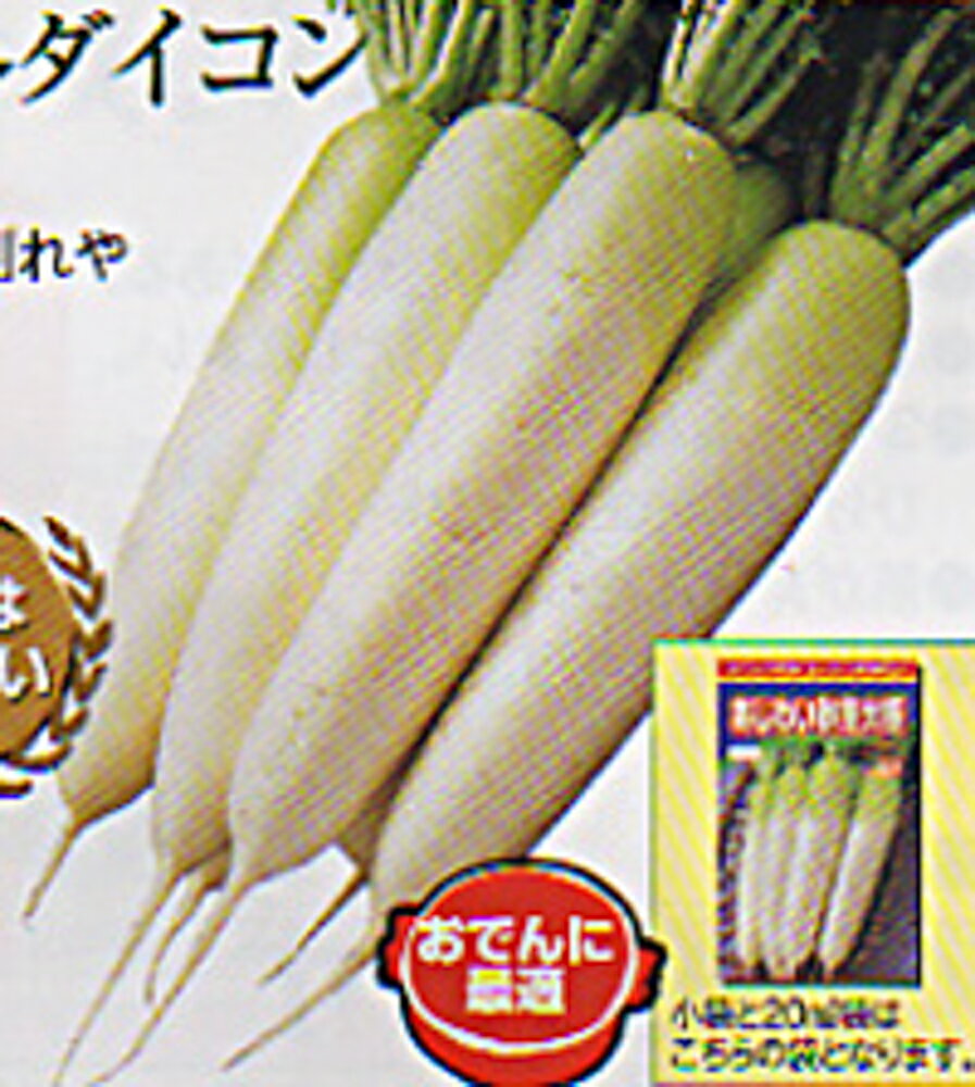 耐寒性の強い冬ダイコン