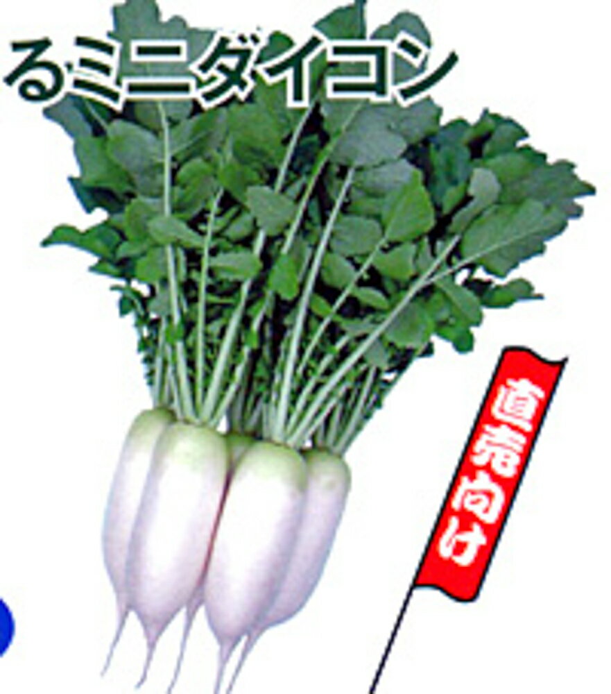 葉も根も食べられるミニダイコン