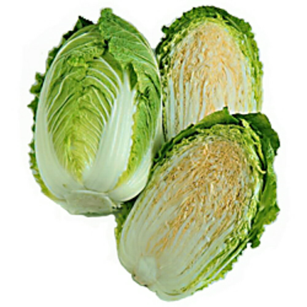 根こぶ病・生理障害に強い黄芯系中早生種