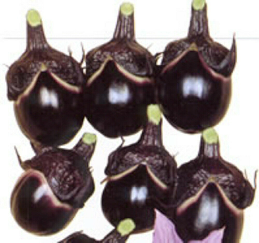 うす皮で歯切れの良い一口用小茄子！！