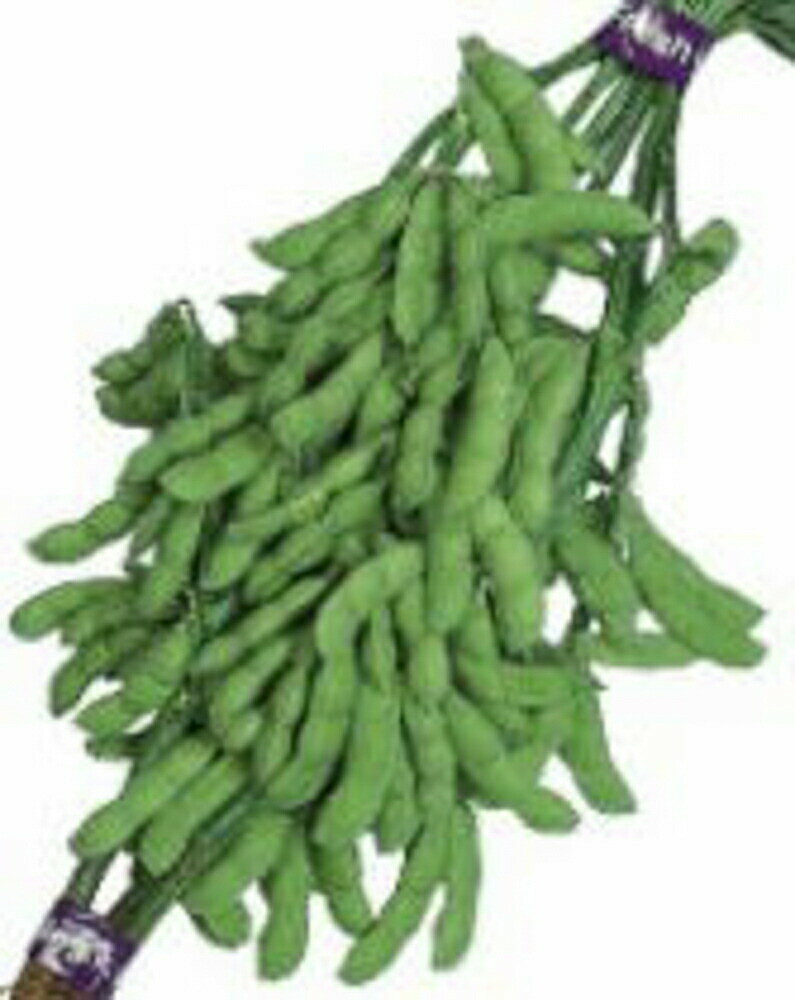 早まき早どり品種 白毛で鮮やかな緑莢！