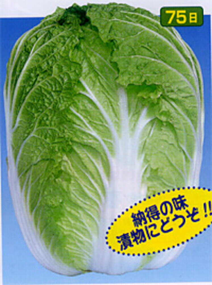 漬物として最高!味と品質で勝負!！