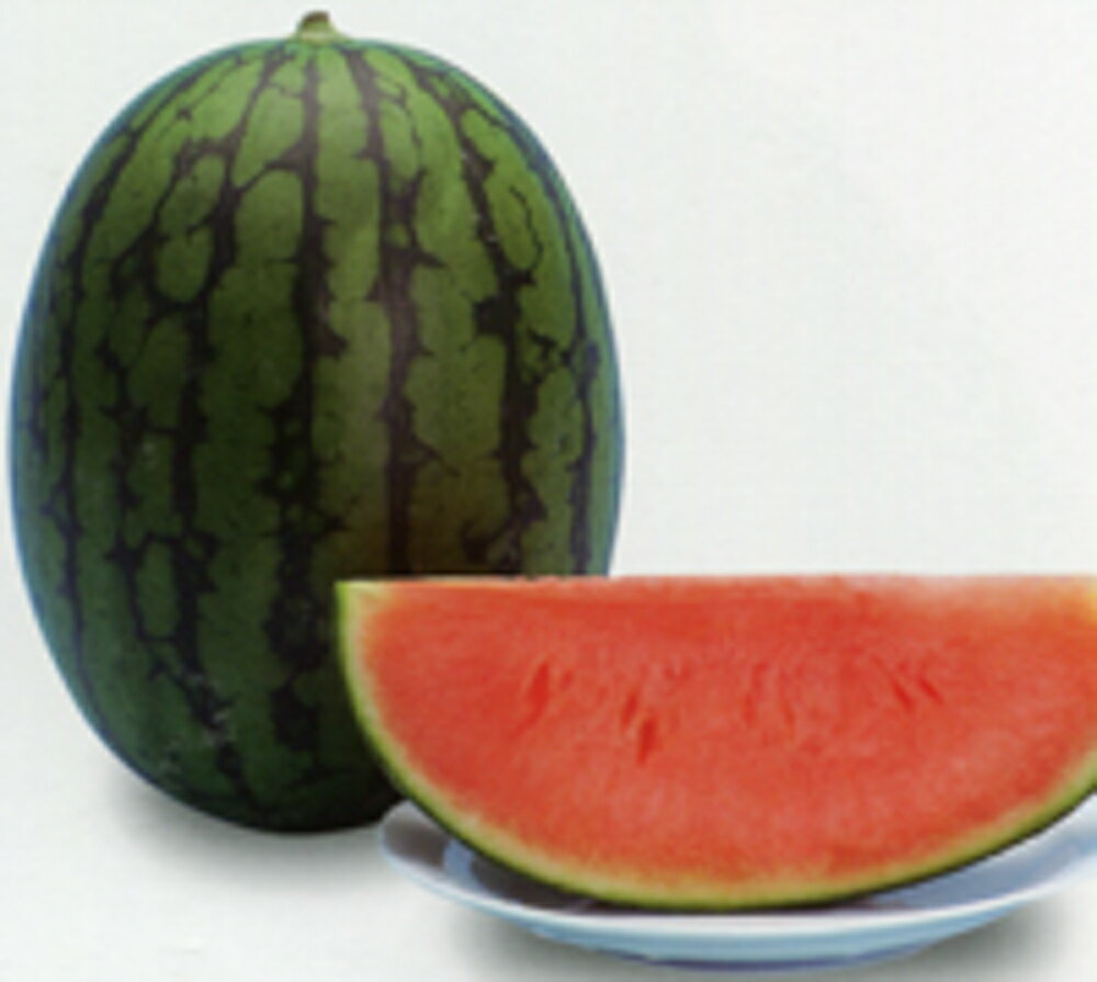 ハウス・トンネル・露地栽培と幅広く適応し、栽培も容易です。