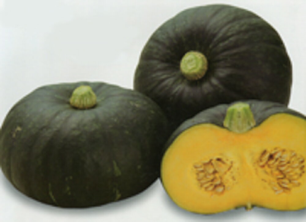 着果節位にかかわらず、丸果や奇形果の発生が少なく、秀品率が高いです。