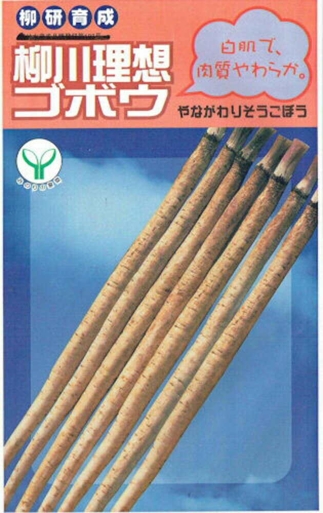 白肌で、肉質やわらかこちらは野菜のタネです