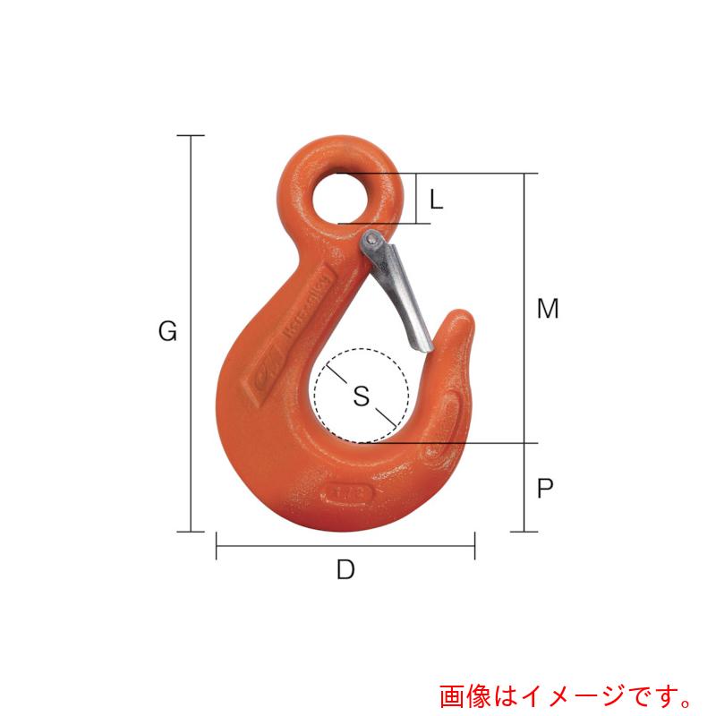 用途 ●ワイヤロープやチェーンなどの先端金具として。 仕様 ●基本使用荷重(t)：1.5 ●適合チェーン線径(mm)：7.1 ●寸法(mm)D：88.9 ●寸法(mm)G：133.4 ●寸法(mm)L：19.1 ●寸法(mm)M：95.3 ...
