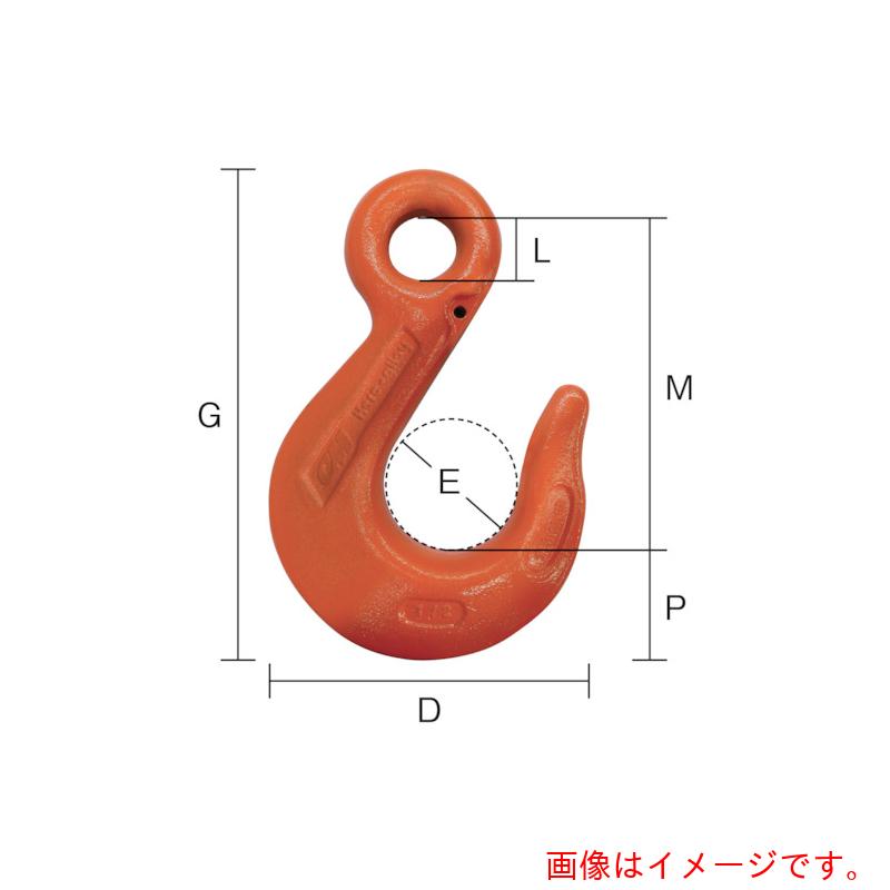 用途 ●ワイヤロープやチェーンなどの先端金具として。 仕様 ●基本使用荷重(t)：1.5 ●適合チェーン線径(mm)：7.1 ●寸法(mm)D：120.7 ●寸法(mm)E：63.5 ●寸法(mm)G：163.8 ●寸法(mm)L：16.0...