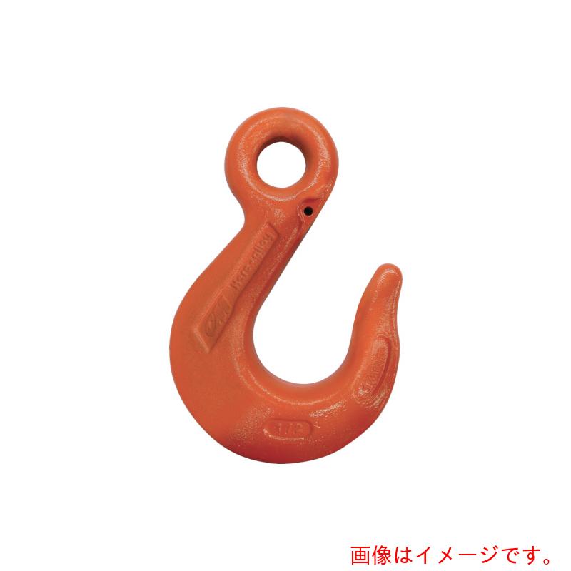 用途 ●ワイヤロープやチェーンなどの先端金具として。 仕様 ●基本使用荷重(t)：5.1 ●適合チェーン線径(mm)：12.7 ●寸法(mm)D：171.5 ●寸法(mm)E：88.9 ●寸法(mm)G：238.3 ●寸法(mm)L：25....