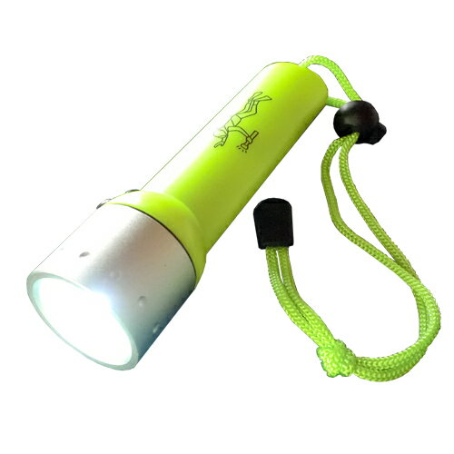 ●水中でも使える本格防水仕様のLEDライト ●ダイバー用本格LEDライトを現場用に仕立て水深20m規格、下水工事や震災時に。 ●どんなすごい雨の中でも大丈夫！ ●スキューバダイビングはもちろん、非常用・日常用としてもご使用になれます。 ●カ...