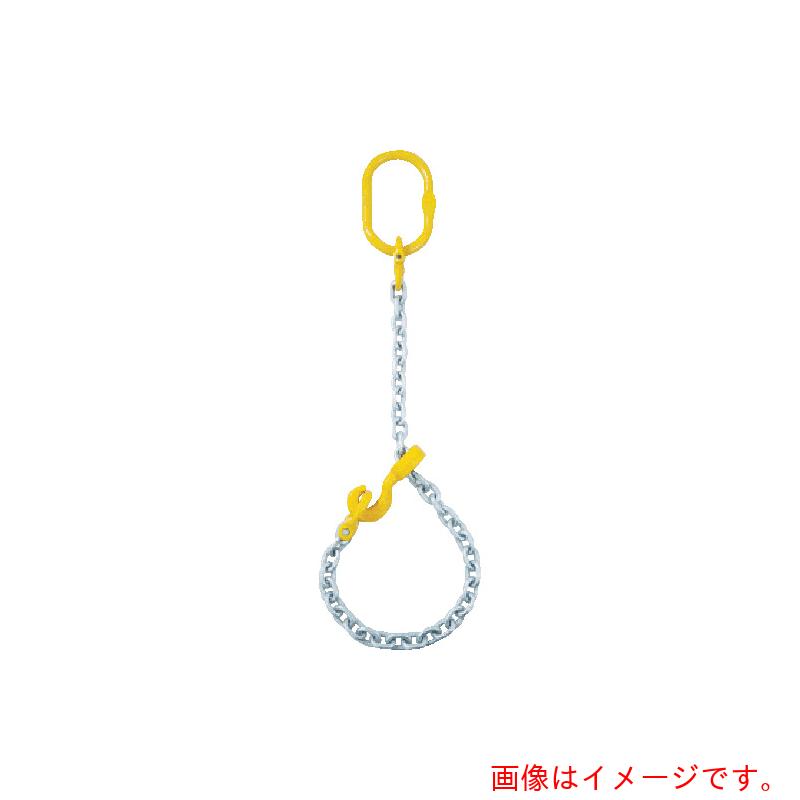 特長 ●鋼材の反転作業などに使用できます。 ●「プラスV級」ロードチェーンの採用でより安全になりました。（安全率5倍以上） ●過酷な使用条件にも強い特殊表面処理チェーンの採用で長寿命化を実現しました。 用途 ●荷役、運搬吊り作業。 仕様 ●...