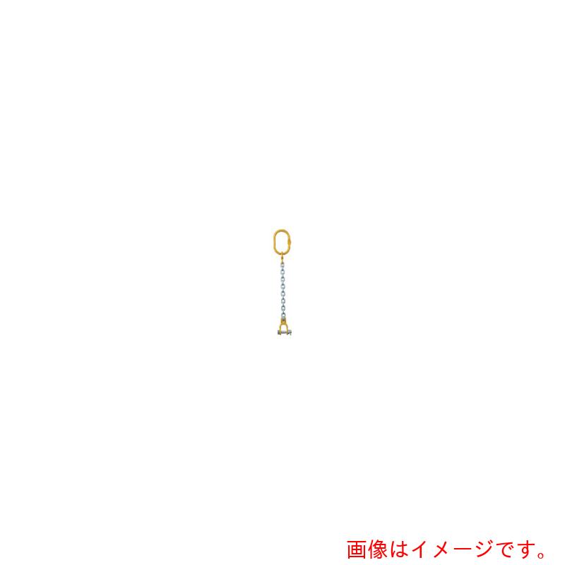 特長 ●シャックル部分にクランプなどを接続可能です。 ●クビレスシャックル付です。 ●「プラスV級」ロードチェーンの採用でより安全になりました。（安全率5倍以上） ●過酷な使用条件にも強い特殊表面処理チェーンの採用で長寿命化を実現しました。...