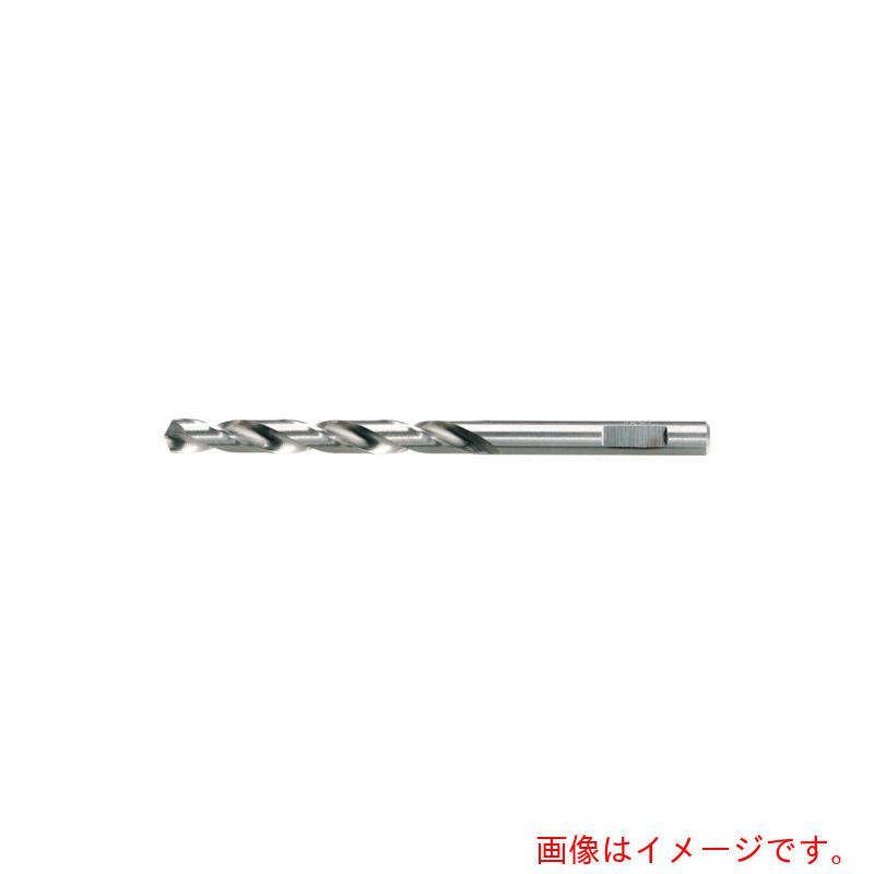 特長 ●交換用、ドリルビットセットです。 用途 ●金属一般用穴あけ作業。 ●交換式ドリルビット用、スペアドリルビットセット。　D5mm、10本入り 材質 ●特殊鋼 質量・質量単位 ●107.0g 【メーカー名】（株）ハーフェレジャパン 【メ...