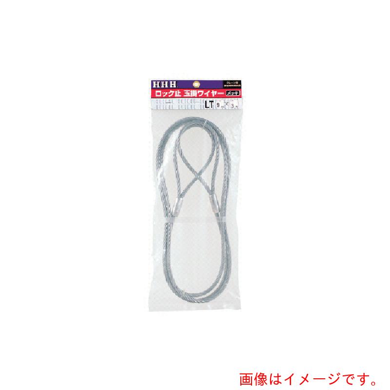 特長 ●1本づつビニール袋に入れ、穴付ヘッダーも付いていますので取扱いや陳列が楽です。 用途 ●玉掛け、固縛作業用。 仕様 ●全長(m)：6 ●スリング径(mm)：9 ●ワイヤー径×長さ(mm)×(m)：9×6 材質 ●スチール 質量・質量...
