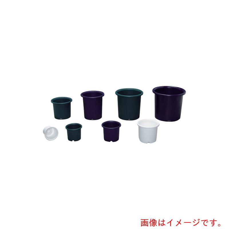 特長 ●しっかりした形状で、どんな植物にも合う深型ベーシック鉢です。 ●支柱が鉢の周囲に3本固定できるように紐通し穴が付いています。 ●スリット溝付の上げ底構造なので、通気性と排水性に優れています。 ●ガーデンアレンジスタンドと組み合わせて...