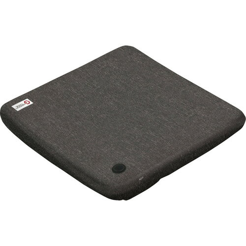 特長 ●シガーソケットからUSBを繋げば、カークッションとして使用できます。 ●クッション素材は体にフィットする低反発素材を使用しています。 ●端子の接続部分を含め、すべて洗濯機で丸洗い可能です。 ●生地は撥水加工をしているため、飲み物をこ...