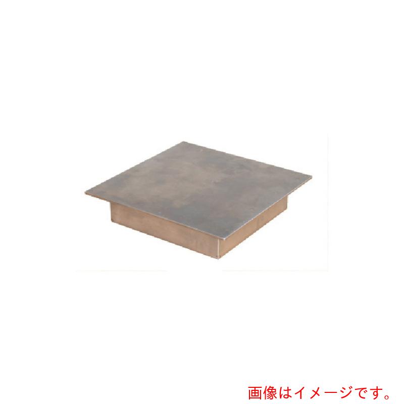 特長 ●従来の高磁力プレートマグネットを吊上型にし液中での使用を容易にしました。 ●アイボルト4ケを付属しています。 用途 ●コンベア上に吊上り下げて、搬送中の食品から鉄片等を吸引・除去するために使用します。 仕様 ●幅(mm)：300 ●...