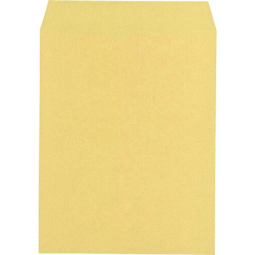 特長 ●無駄のない経済タイプの明るめの茶系クラスト封筒です。 用途 ●A5書類（210×148）の封入に最適。 仕様 ●サイズ：角形5号 ●色：茶色 ●縦(mm)：240 ●横(mm)：190 ●〒枠なし ●貼り方：センター貼 ●口糊：なし...