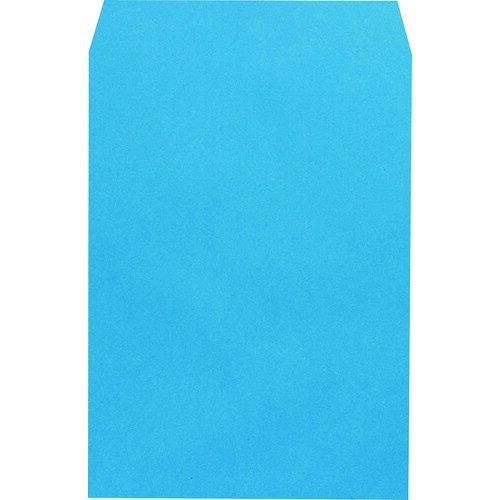 特長 ●色鮮やかなカラークラフト封筒です。 用途 ●A4書類（297×210）の封入に最適。 仕様 ●サイズ：角形2号 ●色：ライトブルー ●縦(mm)：332 ●横(mm)：240 ●〒枠なし ●貼り方：スミ貼 ●口糊：なし ●封入サイズ...