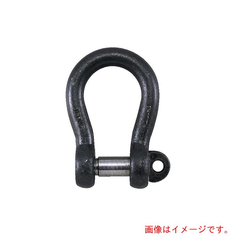 特長 ●JIS B 2801-1996　M級　BDシャックル（ドブ）です。 ●安全率5倍以上です。 仕様 ●基本使用荷重(t)：1.8 ●使用荷重(kN)：17.64 ●B(mm)：40 ●d(本体径)(mm)：22 ●B(口幅)(mm)：...