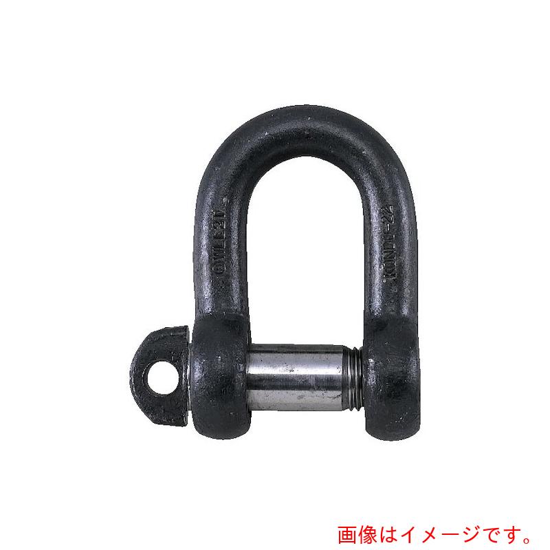 特長 ●KONDO規格のSDシャックル（生地）です。 ●安全率5倍以上です。 仕様 ●基本使用荷重(t)：0.6 ●使用荷重(kN)：5.88 ●B(mm)：24 ●B(口幅)(mm)：24 ●D(頭径)(mm)：28 ●L(長さ)(mm)...