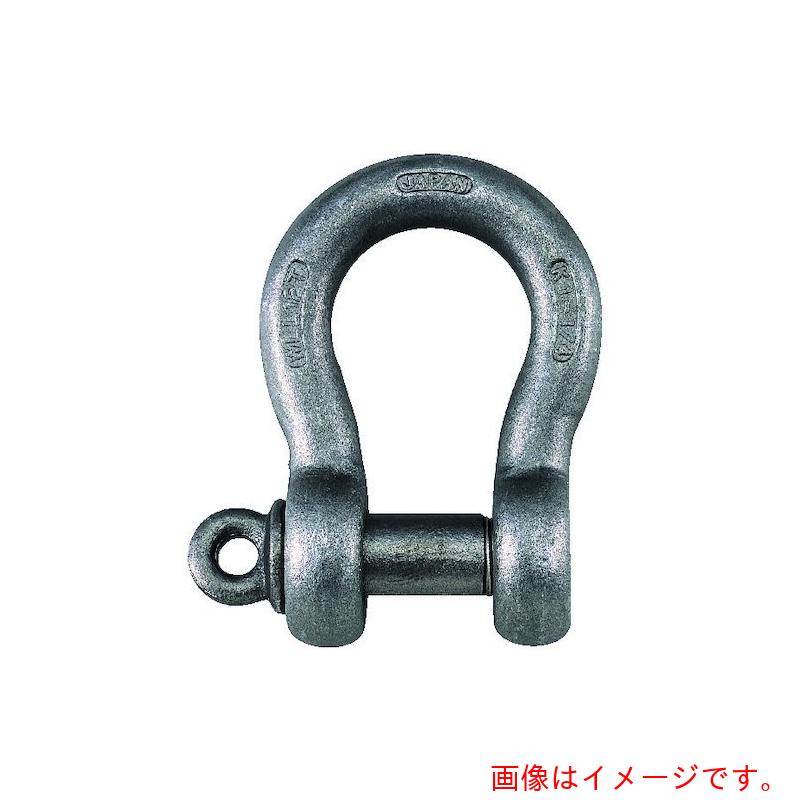 特長 ●オタフク（バウ）の捻じ込み型 仕様 ●使用荷重(kN)：132.3 ●B(mm)：58 ●D(mm)：84 ●L1(mm)：113 ●L2(mm)：134 ●呼び：1-3/8 ●d（t）（mm）：36 ●d1（mm）：38 ●B1（...