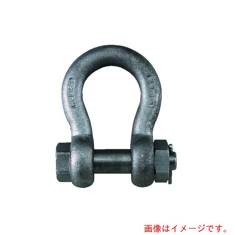 特長 ●ボルトナット型 仕様 ●使用荷重(kN)：83.3 ●B(mm)：43 ●D(mm)：60 ●L1(mm)：81 ●L2(mm)：96 ●呼び：1 ●d（t）（mm）：25 ●d1（mm）：28 ●B1（mm）：69 ●安全率5倍以...