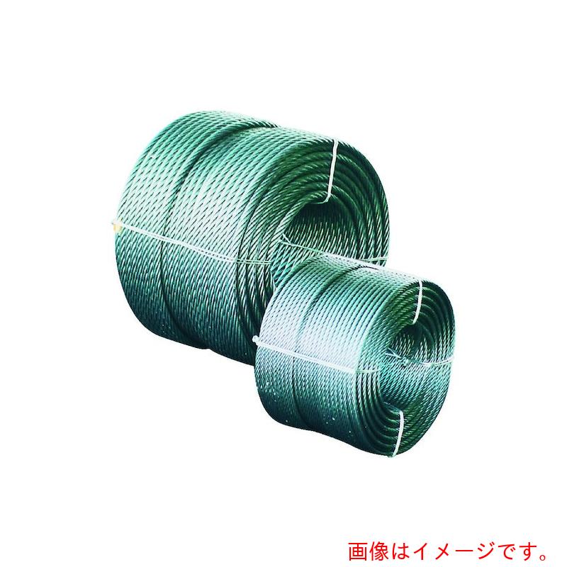特長 ●JIS規格　6×24（4号品）　裸（メッキなし）のカットワイヤロープです。船舶用・漁業用・クレーン用・土木工事用・一般用。 仕様 ●ロープ径(mm)：9 ●長さ(m)：200 ●破断荷重(kn)：39.9 ●JIS G 3525-2...