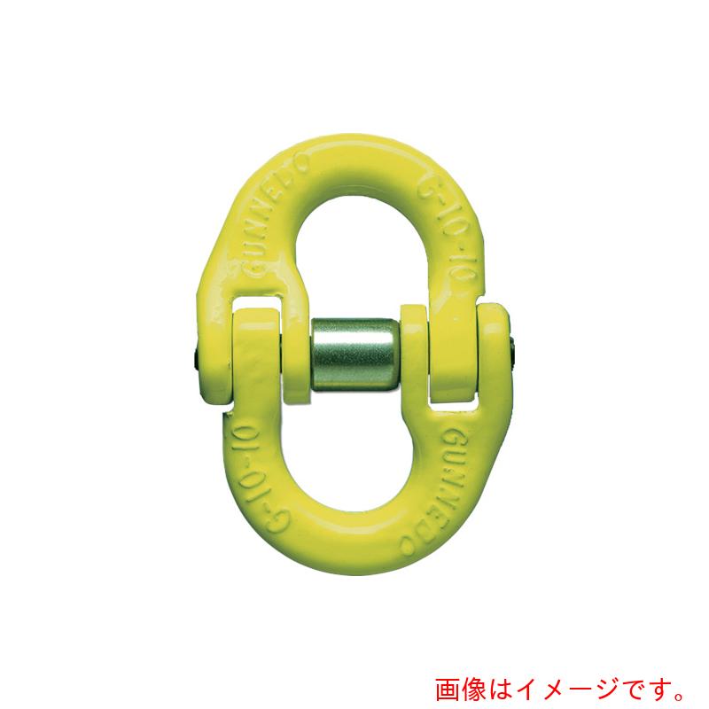 特長 ●チェーンとマスターリンク・フックなどを接続する金具です。 ●カラーにヘリカルスプリングを採用しています。 ●止め金具は内蔵のヘリカルスプリングによってはハンマー1本で簡単に脱着でき、繰り返し使用しても確実にピンをロックします。 用途...