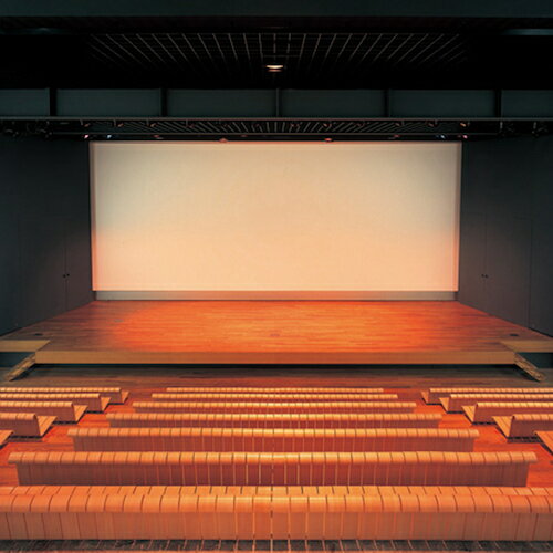 特長 ●最大450型まで対応。スクリーンの平面性は抜群に素晴らしく、よりフラットな映像を求められます。 仕様 ●スクリーンサイズ(mm)：4428×2491 ●型サイズ：200型 ●アスペクト比：HD(16：9) ●本体寸法(mm)幅：49...