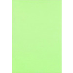特長 ●お得な色画用紙をご用意しました。 仕様 ●色：わかくさ ●規格：8ッ切 ●寸法(mm)：縦390×横270 ●坪量(g/[[M2]])：122.1 ●画用紙紙厚(μm)：185 ●入数(枚)：10 ●色画用紙 質量・質量単位 ●5....