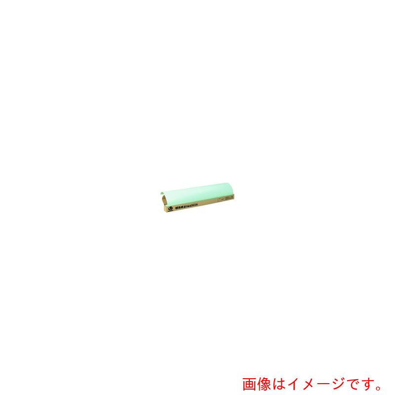 特長 ●一枚ずつ引き出せるプルタイプの20枚巻です。 ●ケースから一枚ずつ引き出せます。 仕様 ●色：あさぎ（青） ●入数：20枚巻×1箱 ●寸法（1枚あたり）：縦788×横1091mm ●方眼：50mm実線、25mm点線（グレー色） ●坪...
