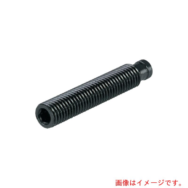特長 ●スラストポイント付です。 ●グラブスクリューです。 仕様 ●径d1(mm)：M20 ●全長l1(mm)：100 ●ピン径d2(mm)：15.5 ●ピン長さz2(mm)：14 材質 ●スティール、黒染、強度クラス 5.8、先端部焼入れ...