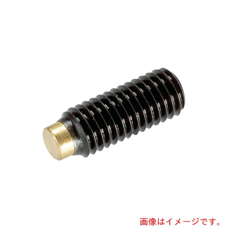特長 ●黄銅ピン付プレッシャー・スクリューです。 用途 ●スピンドルや、軸、表面処理済みの部品などを傷つけずに押さえたり、締め付けるために。 仕様 ●全長(mm)：6.5 ●ねじ寸法：M4 ●ピン径(mm)：2.5 ●長さl2(mm)：1....