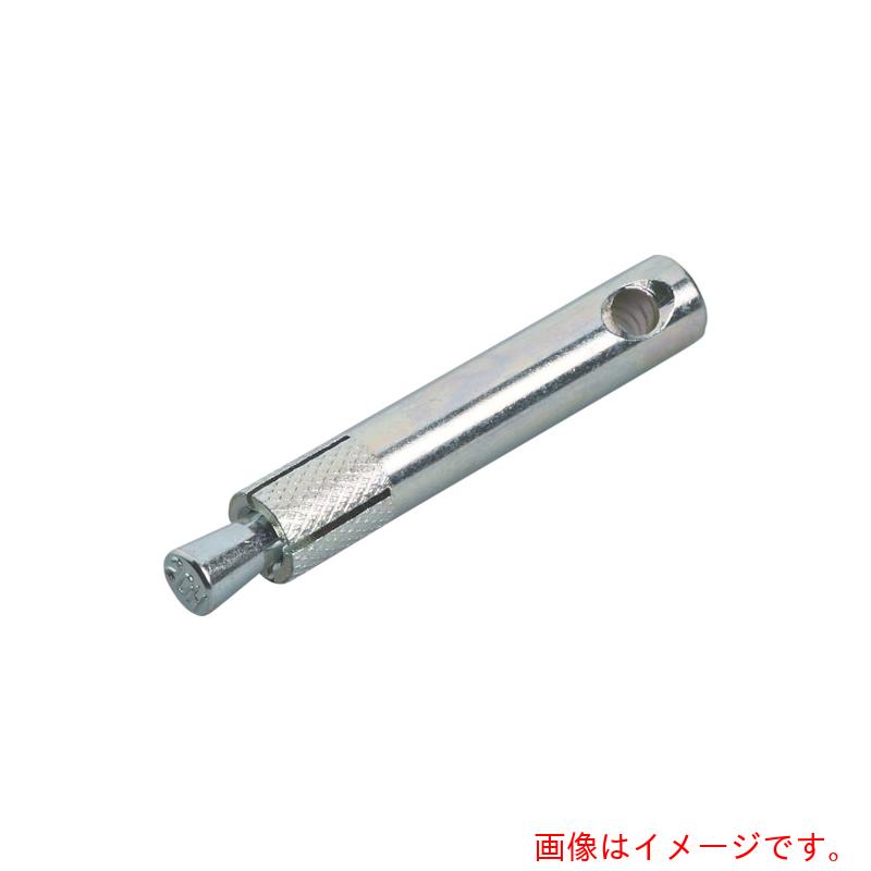 特長 ●ワイヤーが簡単に取り付けられます。 用途 ●コンクリート用 ●外壁石張り工、防護ワイヤー取付け、看板振れ留め取付けなど 仕様 ●外径(mm)：10 ●埋込深さ(mm)：30 ●引張最大荷重(kN)：9.0 ●せん断最大荷重(kN)：...