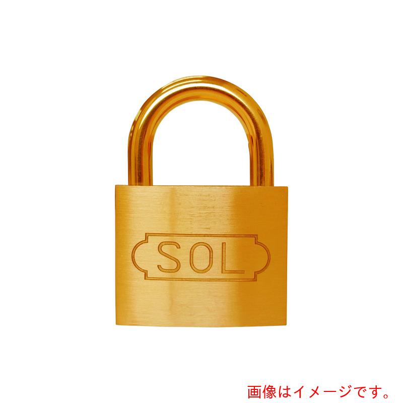 特長 ●強度と耐久性に優れています。 用途 ●各種の扉、郵便受け箱、ロッカー掛金やチェーンの施錠など。 仕様 ●幅(mm)：20 ●ツル径(mm)：3.5 ●B(mm)：10.5 ●C(mm)：9.3 ●付属鍵本数(本)：3 ●鍵3本付 材...