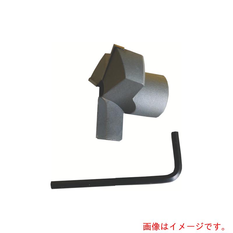 用途 ●No.80T ALC超硬座掘錐用。 仕様 ●全長(mm)：36 ●刃径(mm)：55 材質 ●普通鋼、超硬チップ付 質量・質量単位 ●160.0g セット内容・付属品 ●六角レンチx1本 注意事項 ●適応製品以外には使用しないでくだ...
