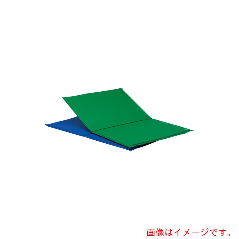 特長 ●着地時・落下時の衝撃を緩和する鉄棒用下敷マットです。 ●防水生地使用 仕様 ●カラー:緑 ●幅(cm):90 ●長さ(cm):180 ●厚さ(cm):3 ●重さ(kg):4 ●材質:外被:クレモナ防水帆布、芯材:ポリエチレンスポンジ...