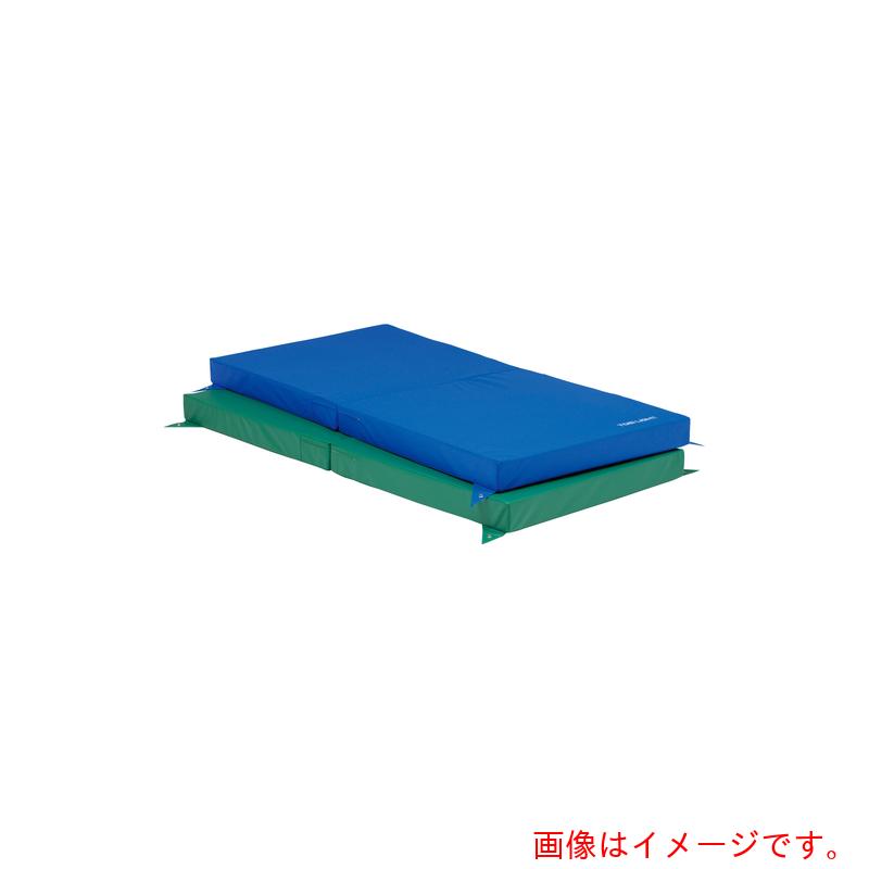 特長 ●着地時・落下時の衝撃を緩和する鉄棒用下敷マットです。 ●防水生地使用 仕様 ●カラー緑 ●幅(cm):120 ●長さ(cm):180 ●厚さ(cm):10 ●重さ(kg):10 ●材質:外被:ターポリン、芯材:ポリエチレンフォーム、...
