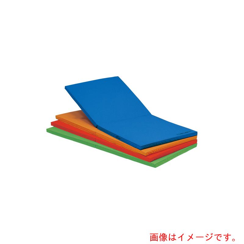 特長 ●裏面すべり止め付 ●2つ折りタイプ ●ソフトな素材に持ち運びがラクラクの超軽量マット。 ●マットの表面には縫目がなく、糸のほつれを気にせずご使用いただけます。 仕様 ●カラー青 ●幅(cm):100 ●長さ(cm):200 ●厚さ(...