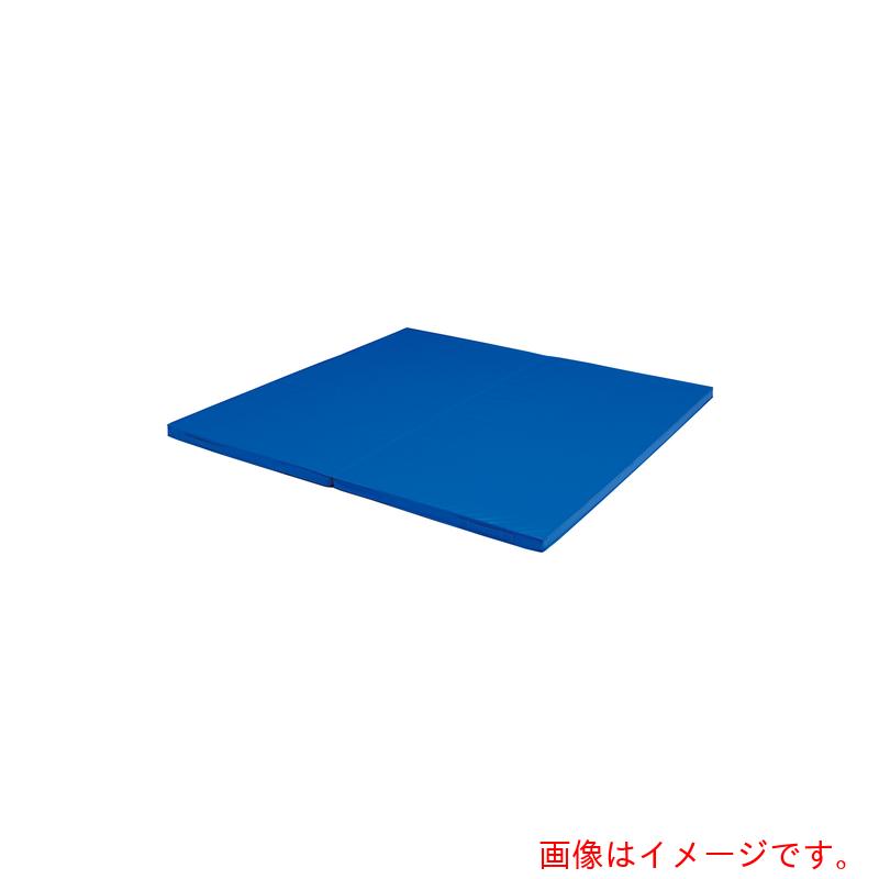 特長 ●お手入れしやすいポリエステル防水帆布の軽量投込みマット ●薄型&軽量ながらも、投げやすさと衝撃吸収性能を高次元で両立したマットです。 仕様 ●幅(cm)200 ●奥行(cm):300 ●厚さ(cm):5 ●重さ(kg):22 ●材質...