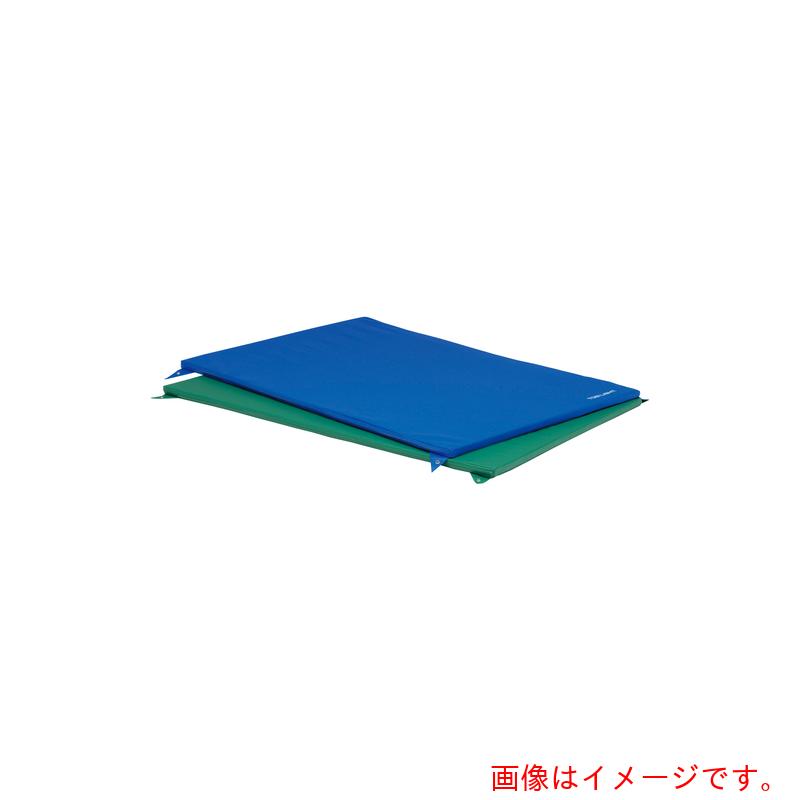 特長 ●着地時・落下時の衝撃を緩和する鉄棒用下敷マットです。 ●防水生地使用 仕様 ●カラー緑 ●幅(cm):80 ●長さ(cm):180 ●厚さ(cm):3 ●重さ(kg):3.5 ●材質:外被:ターポリン、芯材:ポリエチレンフォーム ●...