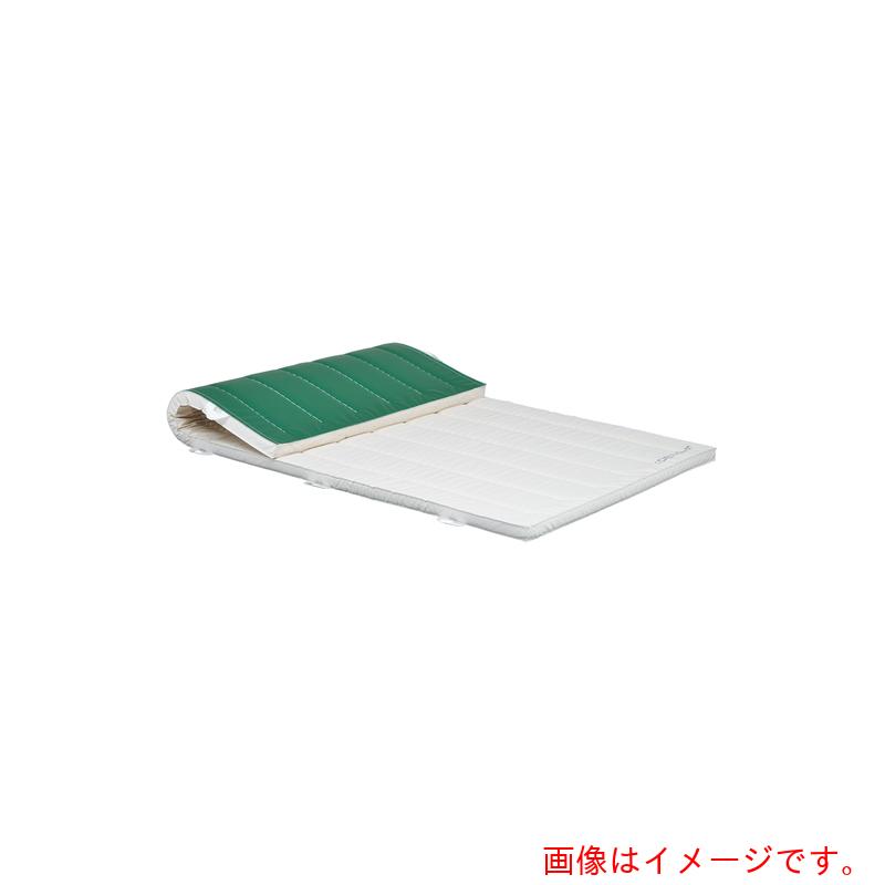 特長 ●すべり止め付 ●柔軟性が高く、跳び箱からの着地や回転運動のショックを効果的に吸収します。 ●お求めやすいスタンダードなマットです。 仕様 ●幅(cm)90 ●長さ(cm):180 ●厚さ(cm):5 ●重さ(kg):8.3 ●材質:...