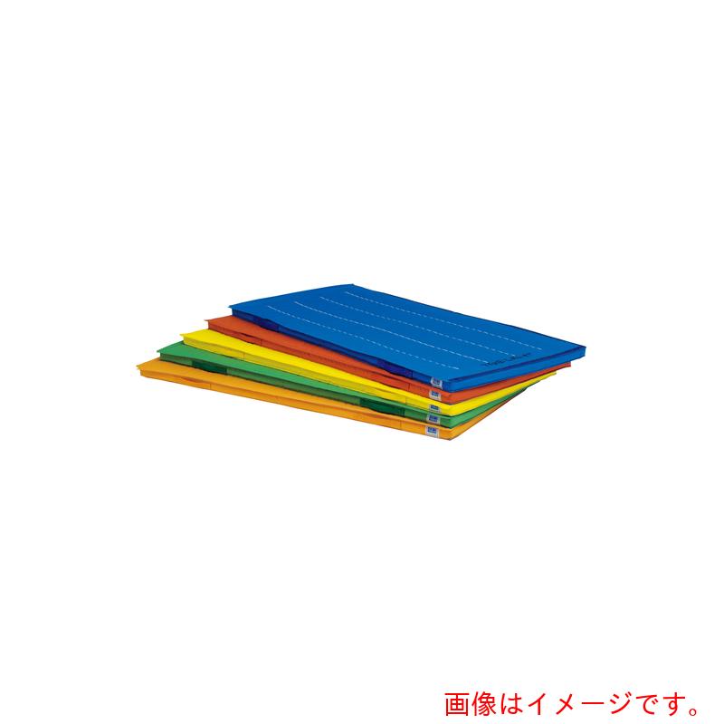 特長 ●裏面すべり止め付 ●縦・横連結用マジックテープ付 ●縦にも横にも連結できる便利なエコカラーマット。 ●発展的なマット運動はもちろん、プレイルームなどにもおすすめです。 仕様 ●カラー青 ●幅(cm):90 ●長さ(cm):180 ●...