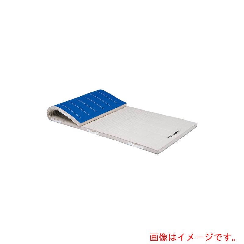 特長 ●すべり止め付 ●柔軟性が高く、跳び箱からの着地や回転運動のショックを効果的に吸収します。 仕様 ●幅(cm)150 ●長さ(cm):600 ●厚さ(cm):5 ●重さ(kg):50 ●材質:外被：9号帆布、芯材：合成スポンジ ●SG...