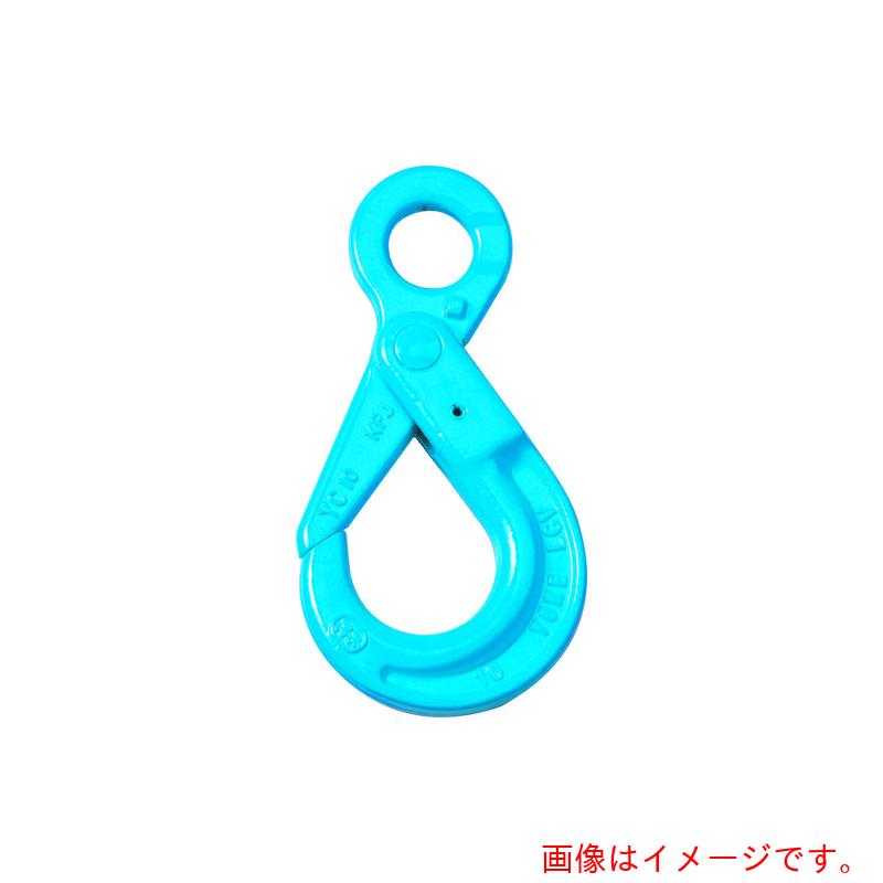 特長 ●フックに荷重がかかると自動的ロッキングする外れ止め機能付いており、掛け外れがなく安全に作業できます。 用途 ●玉掛け用、土木・建築工事での荷物の吊り上げに。 仕様 ●基本使用荷重(t)：8 ●適合チェーン線径(mm)：16 ●タイプ...