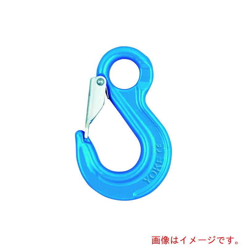 特長 ●ラッチ付きアイタイプスリングフックです。 ●チェーンに直接接続できます。 用途 ●玉掛け用、土木・建築工事での荷物の吊り上げに。 仕様 ●基本使用荷重(t)：15.2 ●適合チェーン線径(mm)：22 ●タイプ：アイタイプ ●寸法(...