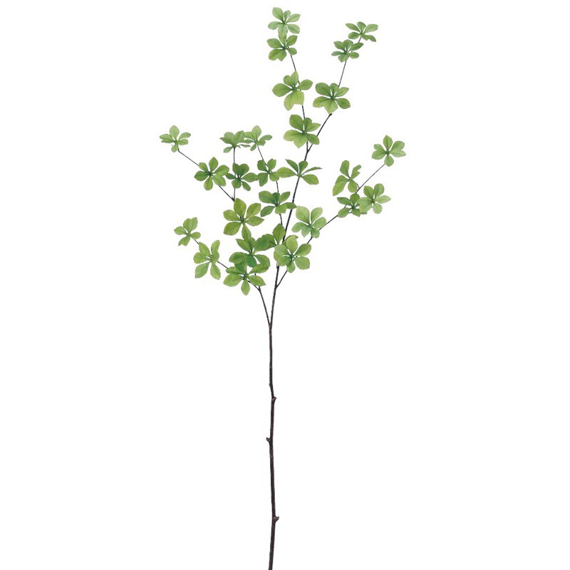 仕様・規格L102cm、葉径5.5-6.5cm 素材ポリエステル関連商品asca カラテア 花材 造花 撮影 小道具 小物 撮影用...asca モミジ 紅葉 花材 造花 撮影 小道具 小物 撮影用...asca マグノリア 花材 造花 撮...