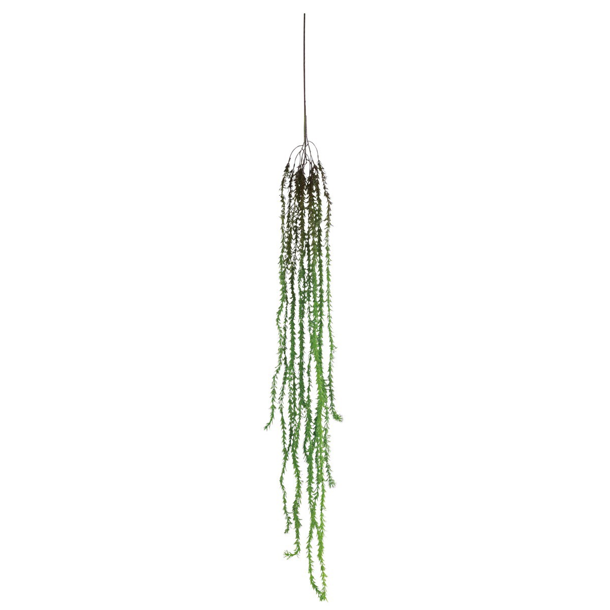仕様・規格L157cm、葉長115cm 素材PE(ポリエチレン) 重量240g 注意事項色やデザインが写真と多少異なる場合がございます。 SC/CT触媒対応・SC/CT触媒(セルフクリーン触媒、又はCT触媒)とは、電子の受容体と供与体から構...