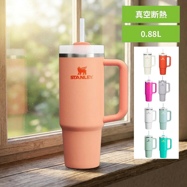 保冷効力：8度以下（6時間）保冷専用。ハンドル付きで持ちやすいストロー付き真空断熱マグボトル。3WAY仕様（ストロー飲み、直飲み、カバー）。●商品サイズ（cm）幅約14×奥行約9×高さ約28●商品重量約0.56kg●材質本体：ステンレススト...